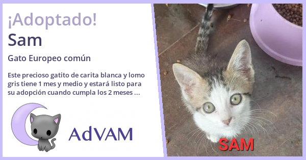 ADVAM Montcada - Adopción de Sam