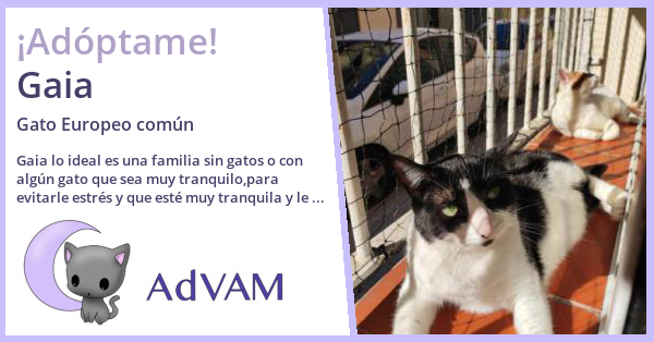 ADVAM Montcada - Ficha de Gaia