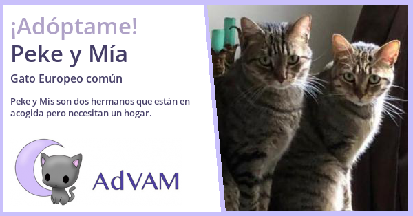 ADVAM Montcada - Ficha de Peke y Mía