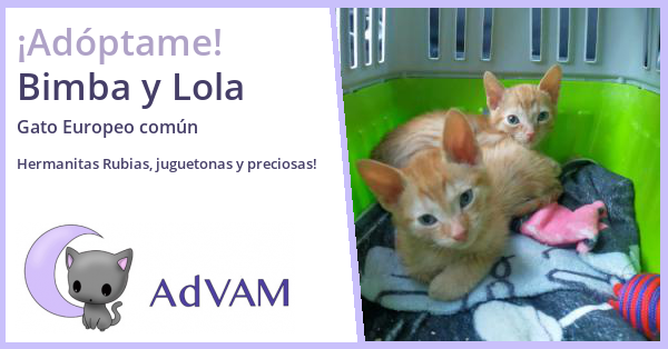 ADVAM Montcada - Ficha de Bimba y Lola