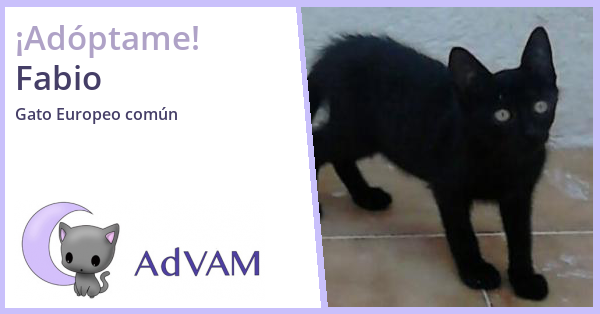 ADVAM Montcada - Ficha de Fabio