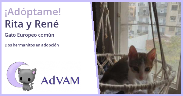 ADVAM Montcada - Ficha de Rita y René