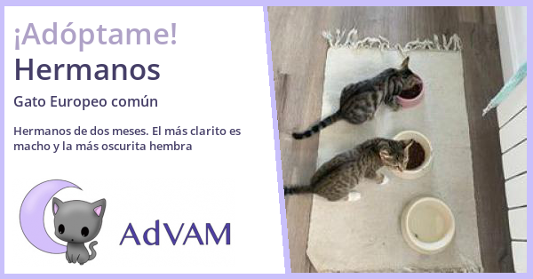 ADVAM Montcada - Ficha de Hermanos