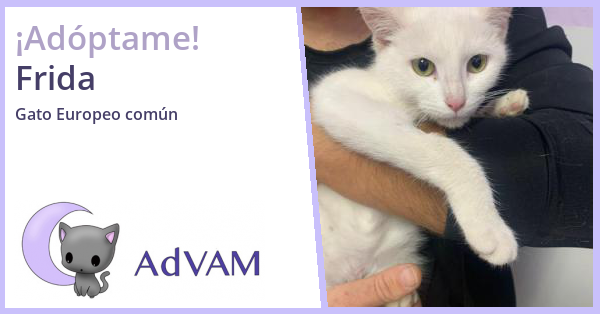 ADVAM Montcada - Ficha de Frida