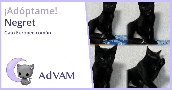 ADVAM Montcada - Ficha de Negret