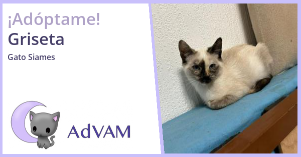 ADVAM Montcada - Ficha de Griseta